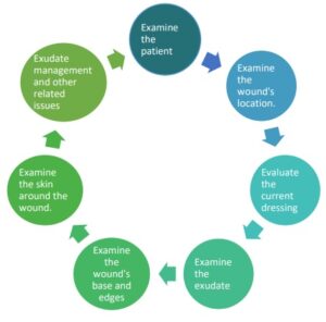 Wound Exudate Identification and Management – Fibroheal